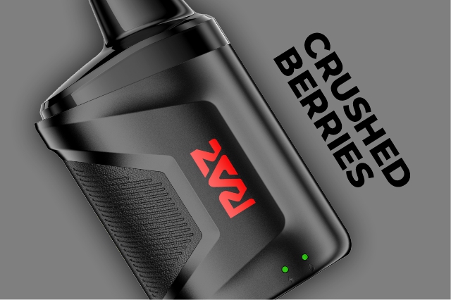 RAZ disposable - Feel The RAZ